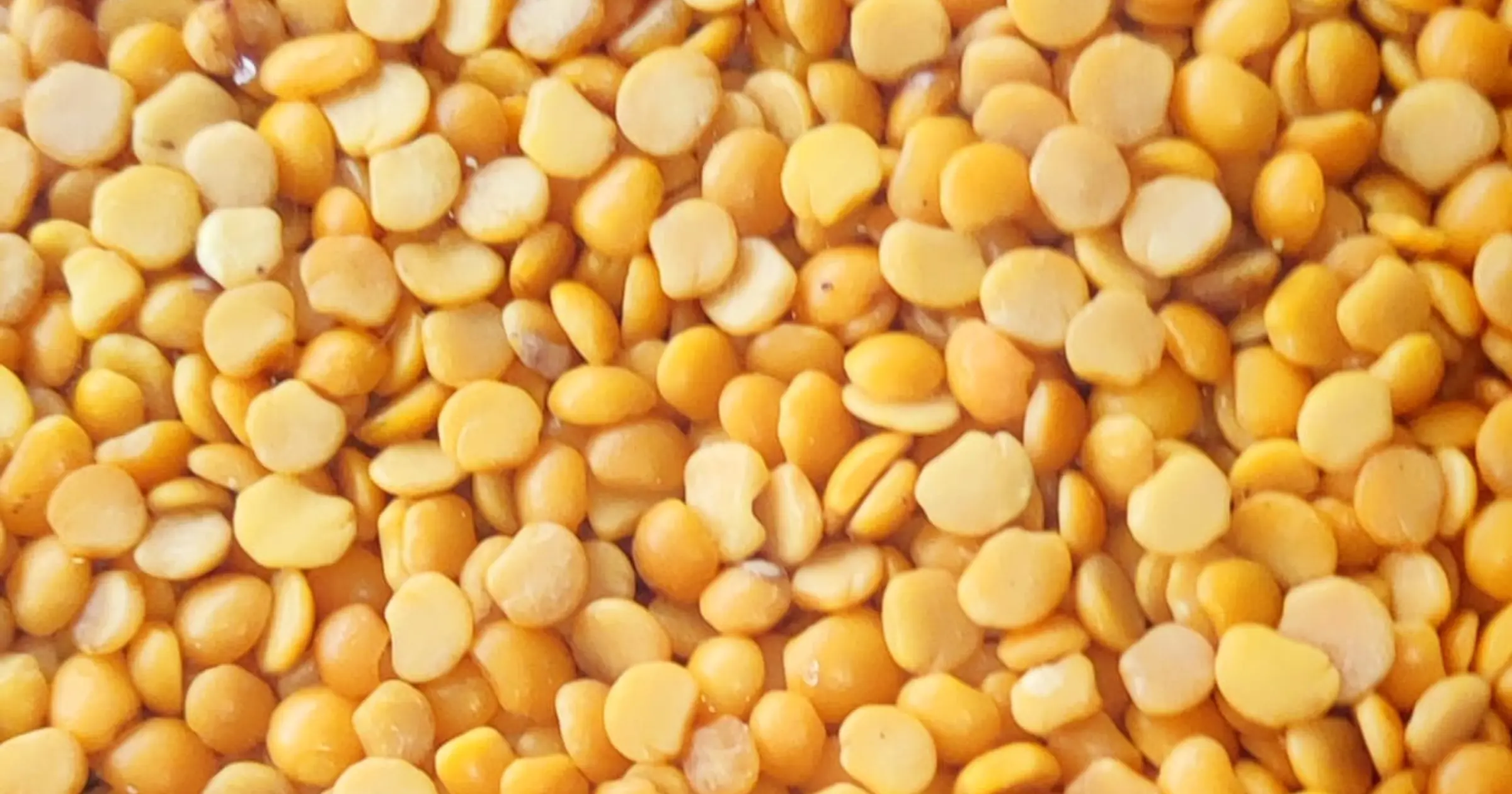 Lion Toor Dal 30kg